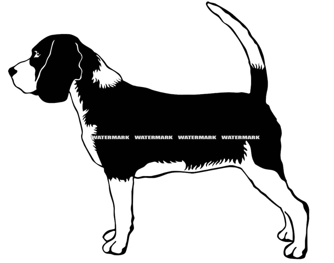 Dog Svg Beagle SVG Beagle DXF Beagle PNG Beagle Clipart - Etsy