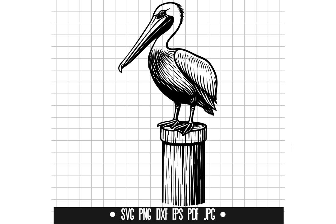 Pelican SVG, Pelican DXF, Pelican PNG, Pelican Cut File, Clipart ...