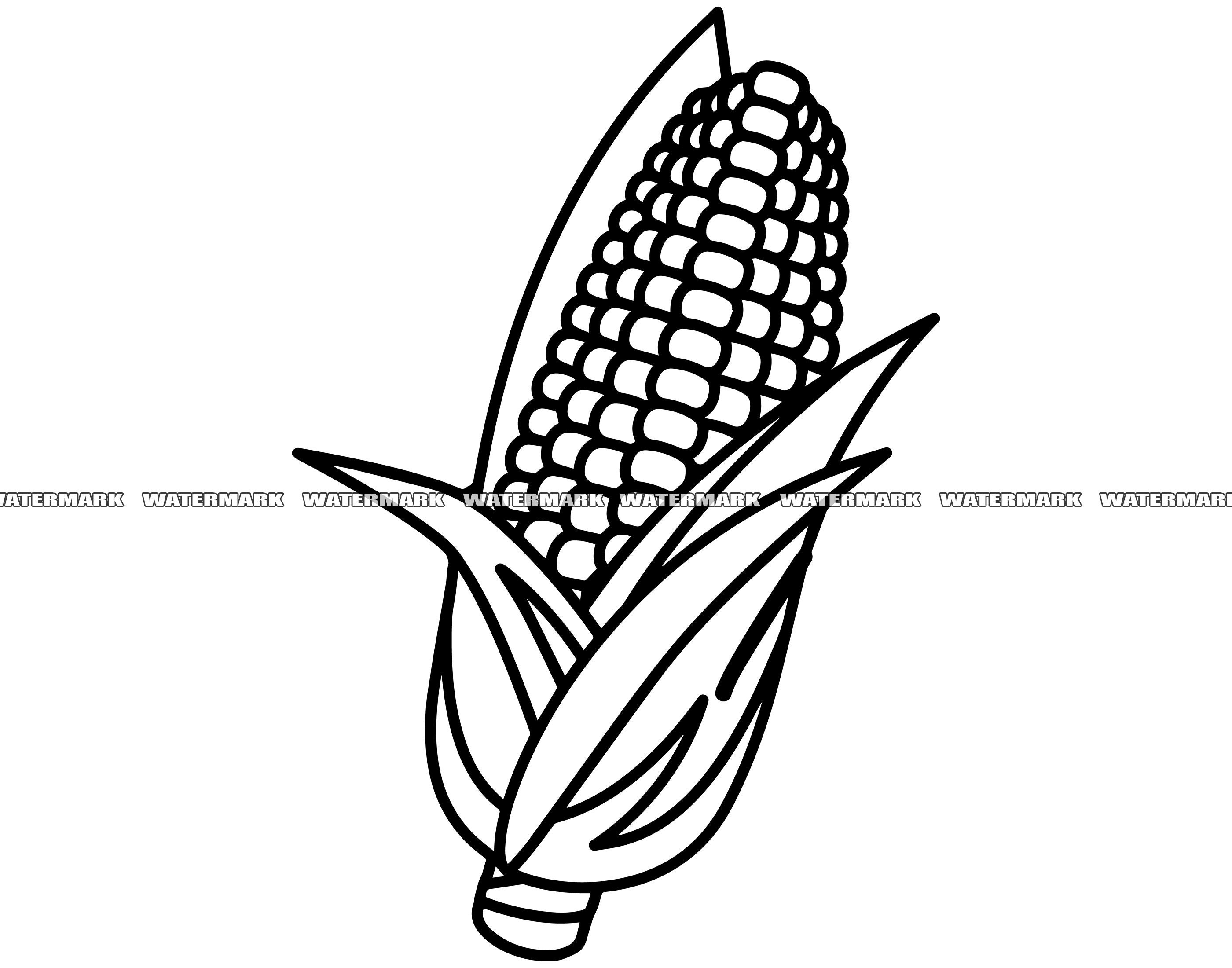 Corn SVG, Corn Cut File, Corn DXF, Corn PNG, Corn Clipart, Corn ...