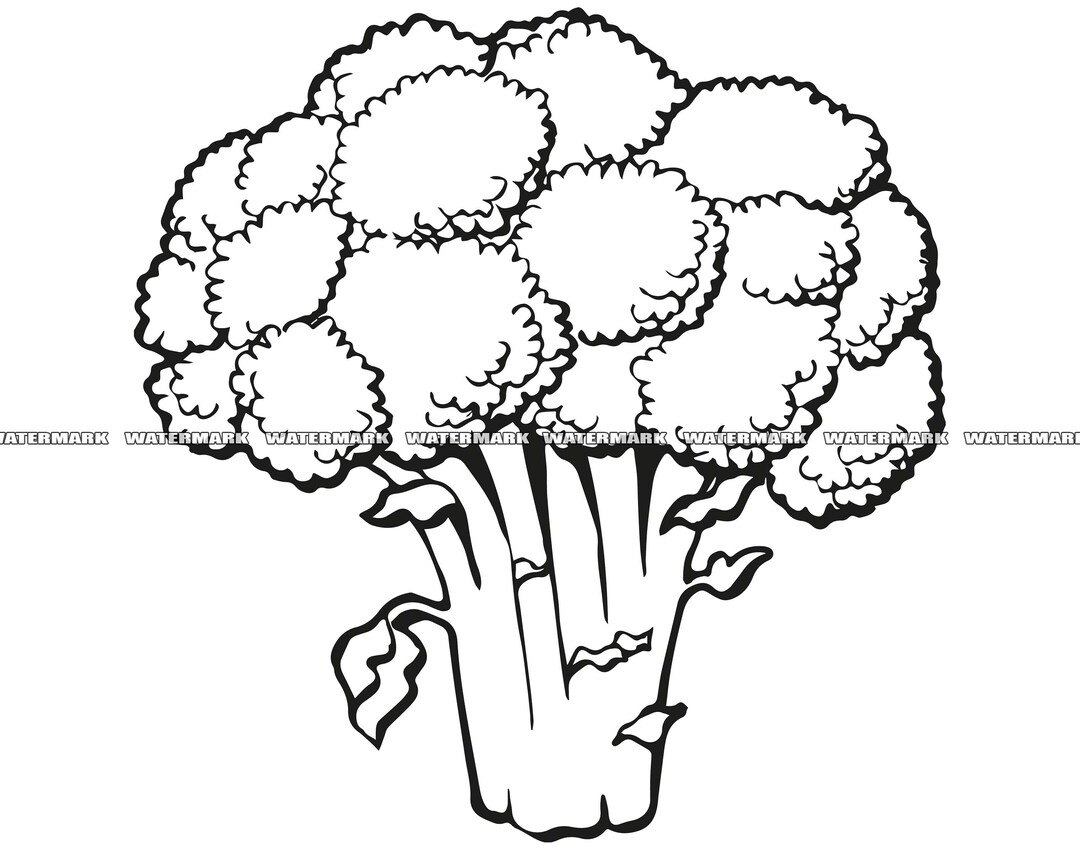 Broccoli SVG, Broccoli Cut File, Broccoli DXF, Broccoli PNG, Broccoli ...