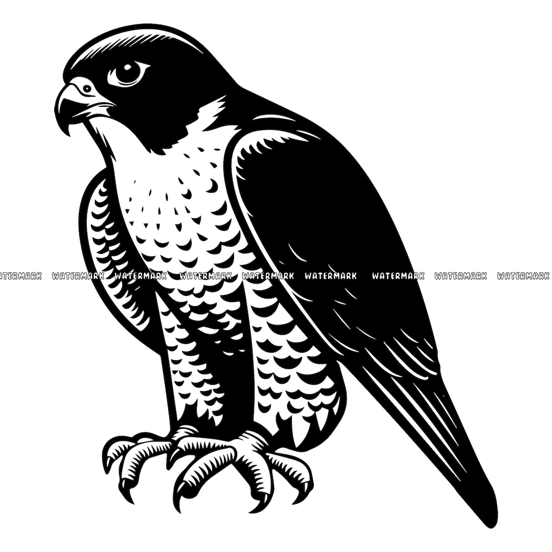 Hawk SVG, Hawk DXF, Hawk PNG, Hawk Cut File, Hawk Clipart, Hawk Digital ...