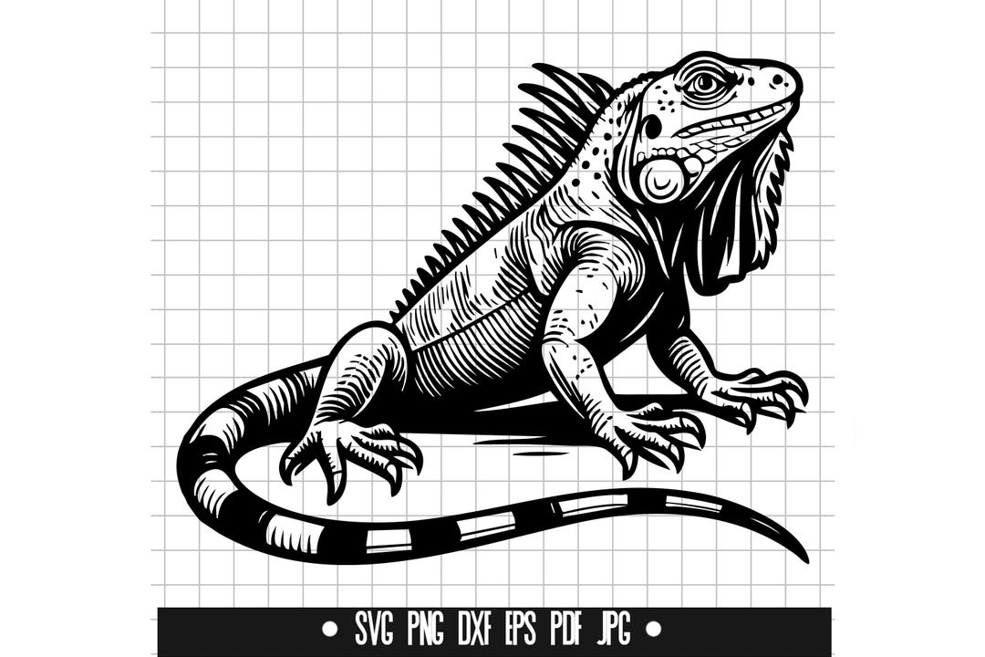 Iguana SVG, Iguana DXF, Iguana PNG, Iguana Cut File, Clipart, Digital ...