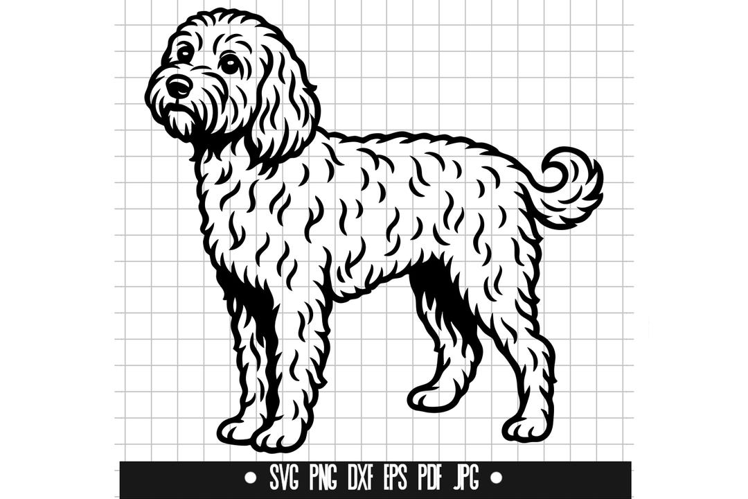 Cockapoo SVG, Cockapoo PNG, Cockapoo DXF, Cockapoo Silhouette, Cockapoo ...