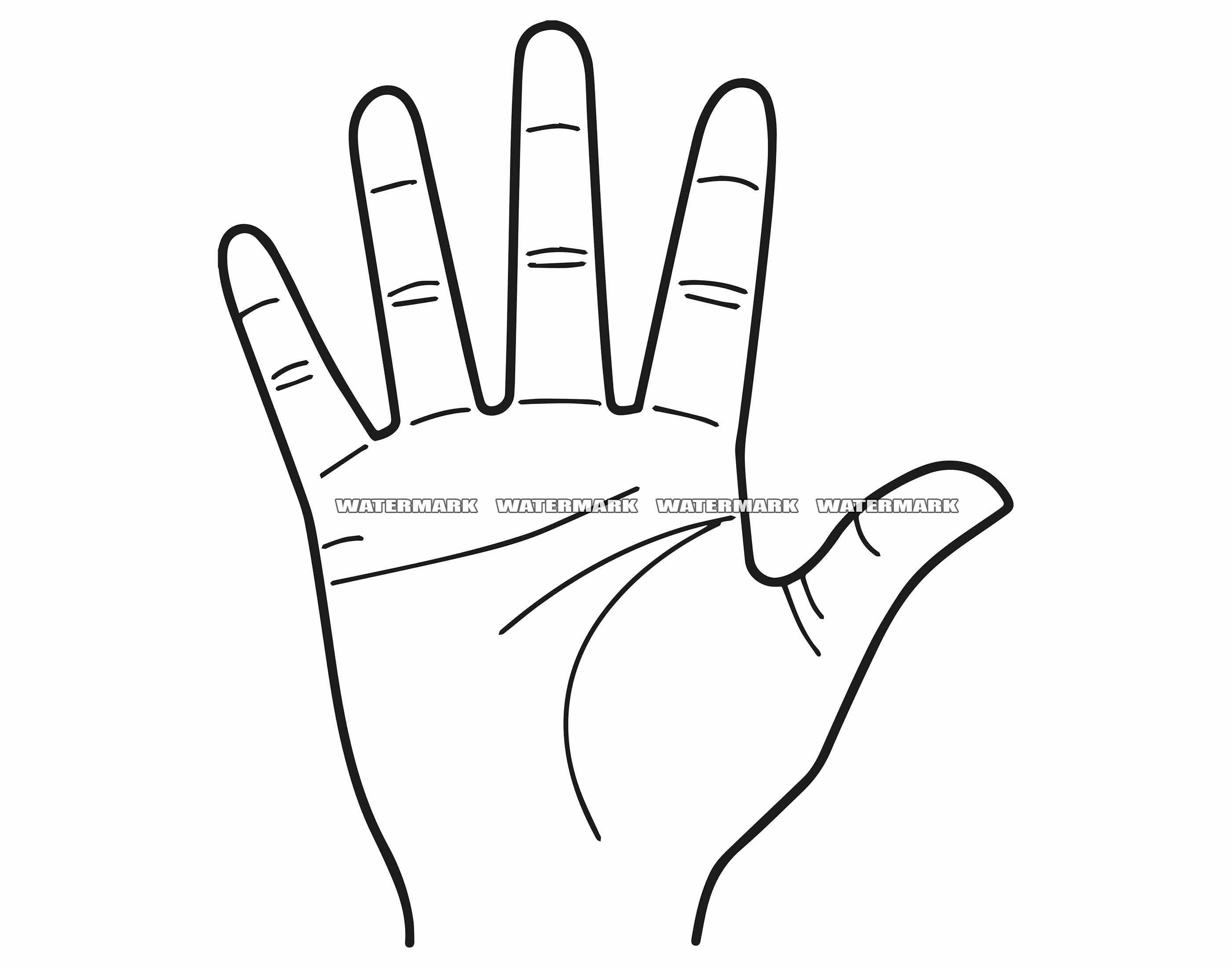 Hand Palm Drawing