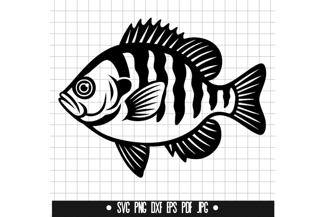 Bluegill Fish SVG, Bluegill DXF, Bluegill PNG, Bluegill Cut File ...
