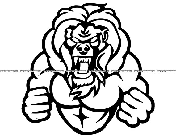 Muscular Lion Drawing