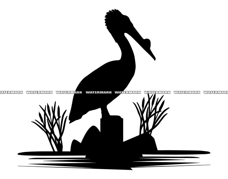 Pelican SVG Pelican Cut File Pelican DXF Pelican PNG - Etsy