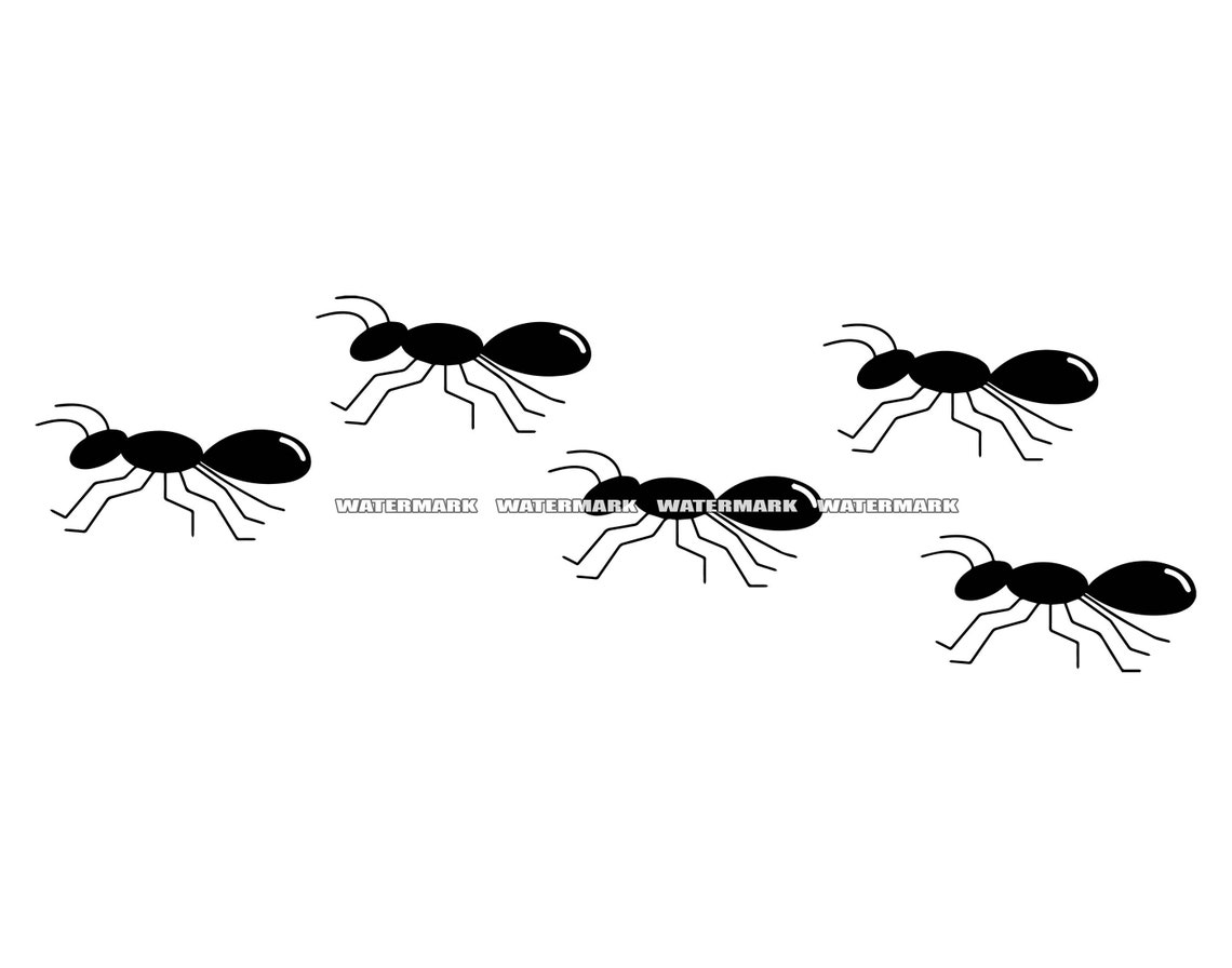 Ant Svg Ants SVG Ant Colony Svg Ants DXF Ants PNG Ants - Etsy