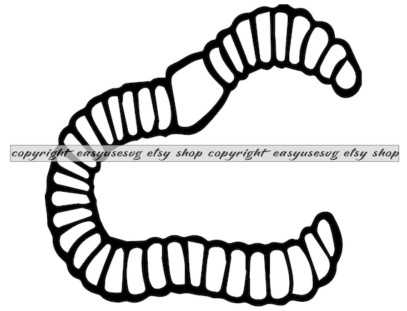 Worm SVG Worm DXF Worm PNG Worm Clipart Worm Silhouette | Etsy Australia