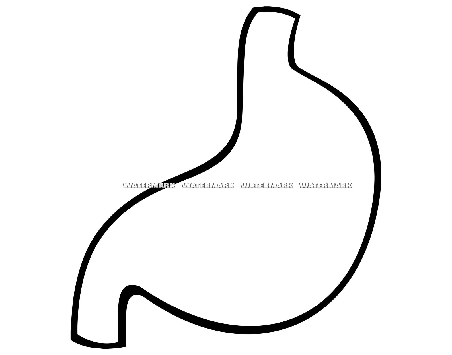 Stomach SVG Stomach DXF Stomach PNG Stomach Clipart - Etsy