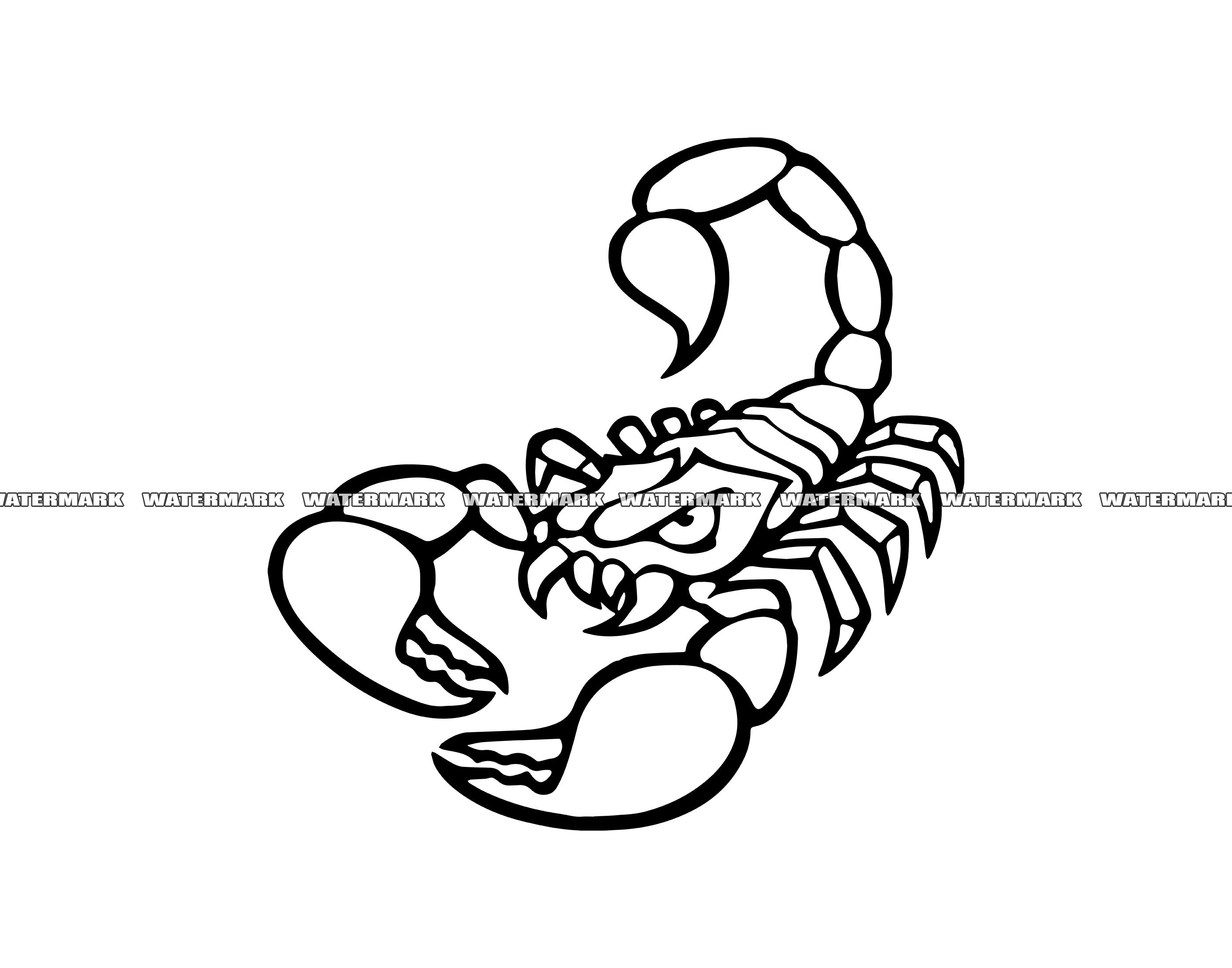 Scorpion SVG, Scorpion Cut File, Scorpion DXF, Scorpion PNG, Scorpion ...