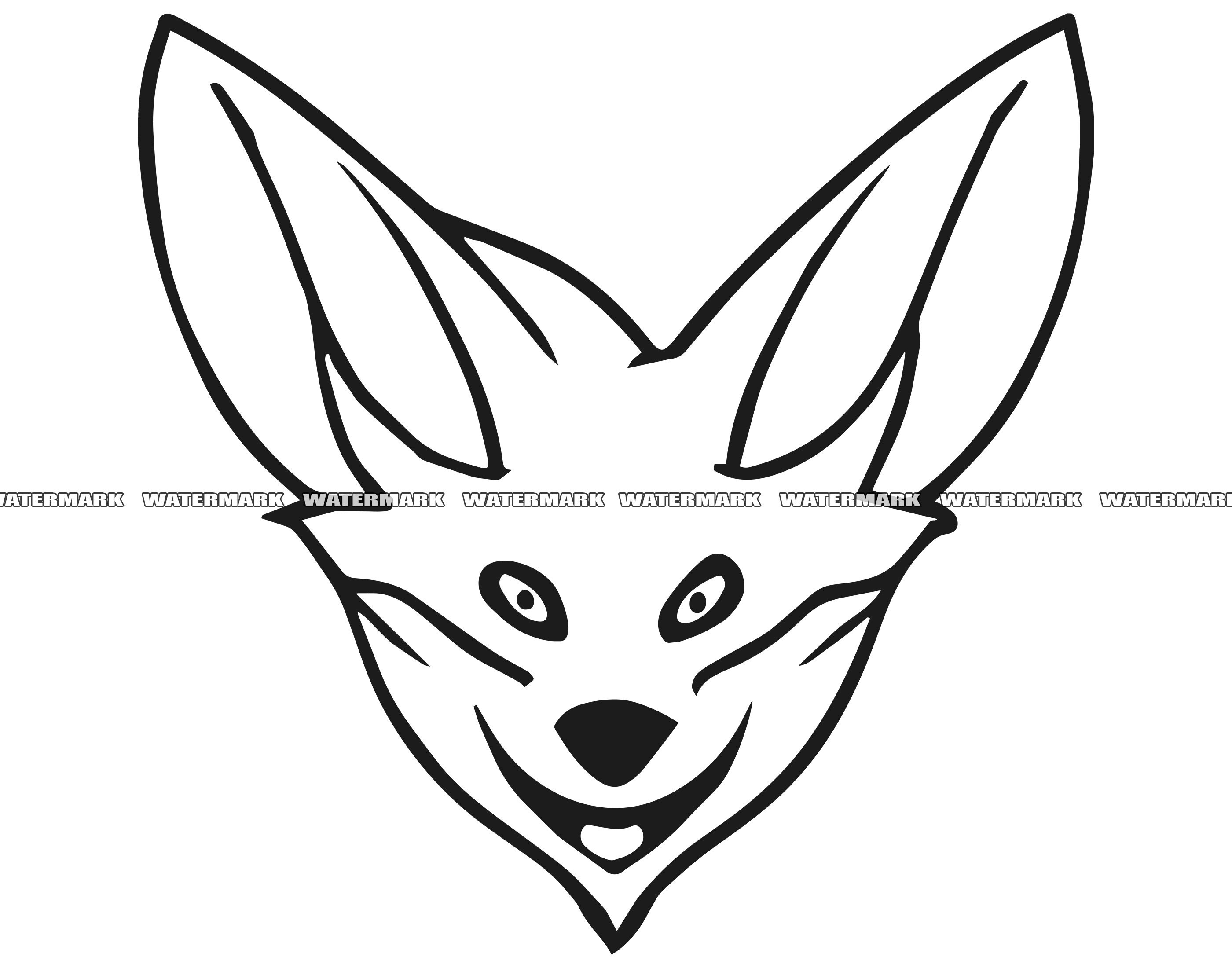 Fennec Fox Drawing Face