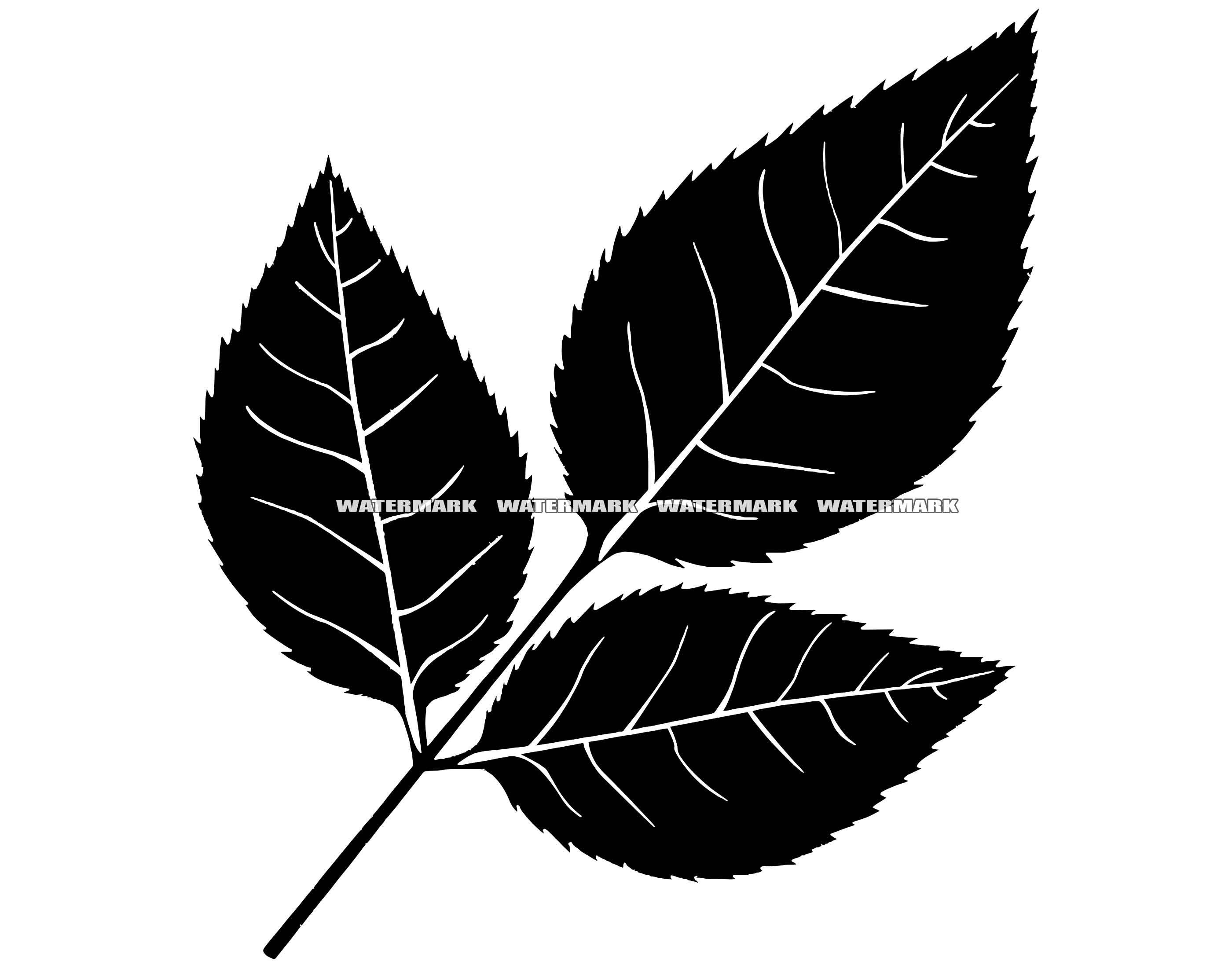 Rose Leaf SVG 1 Rose Leaf DXF Rose Leaf PNG Rose Leaf - Etsy Canada