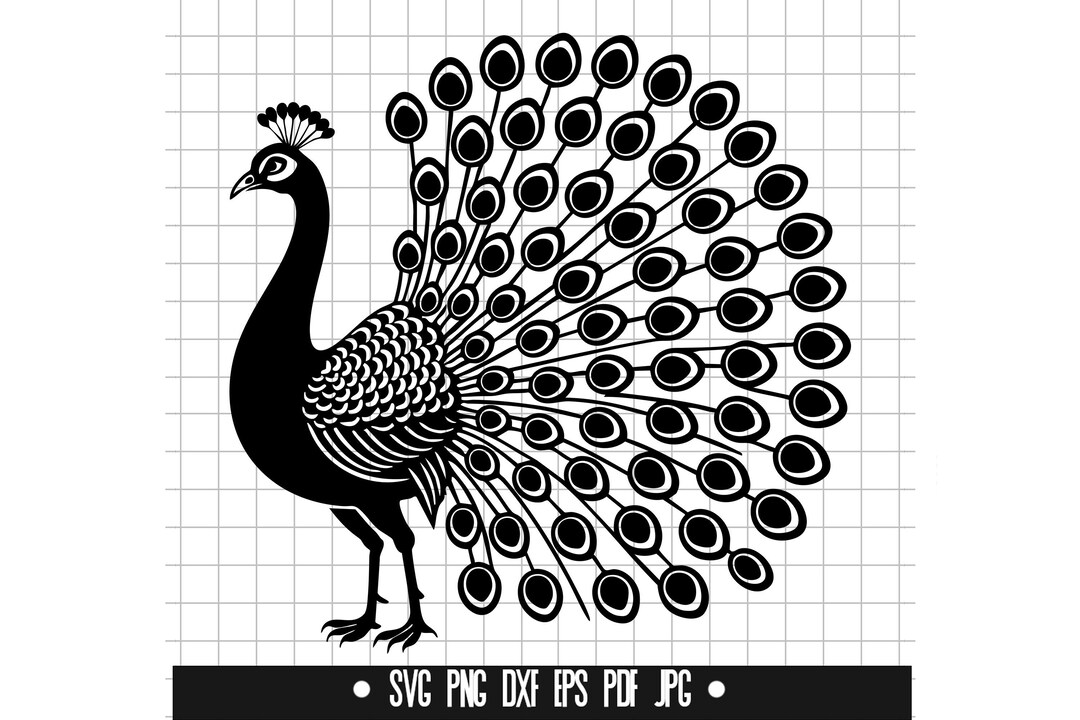 Peacock SVG, Elegant Bird PNG, Peacock DXF File, Feather Clipart ...