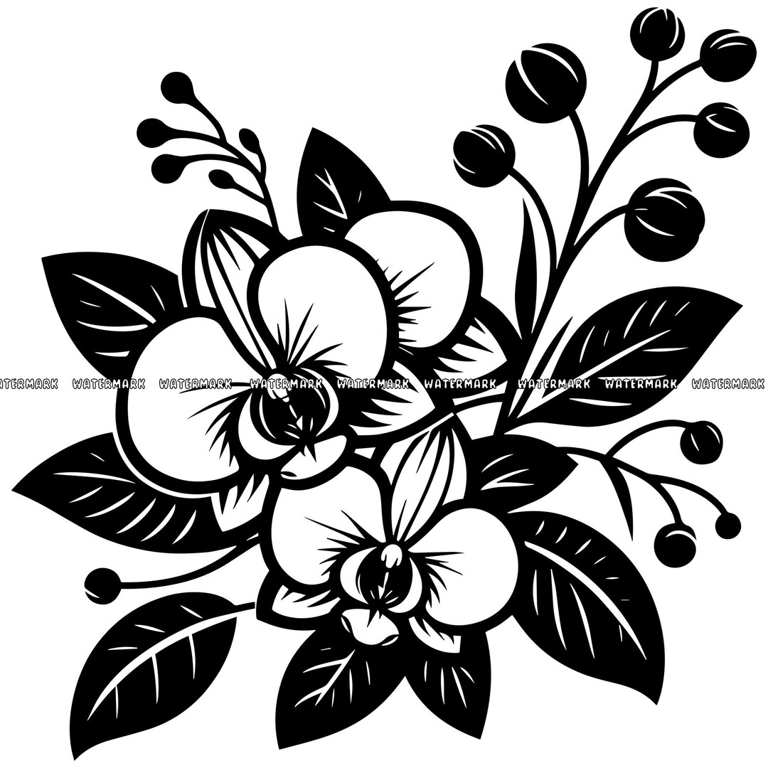 Orchid SVG Orchid DXF Orchid PNG, Orchid Cut File, Orchid Clipart ...