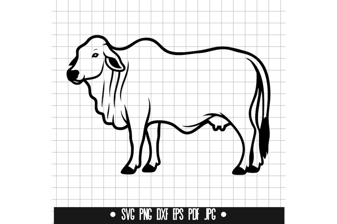 Brahman Cow SVG, Brahman Cow DXF, Brahman Cow PNG, Cut File, Clipart ...