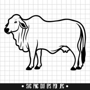 Brahman Cow SVG, Brahman Cow DXF, Brahman Cow PNG, Cut File, Clipart ...