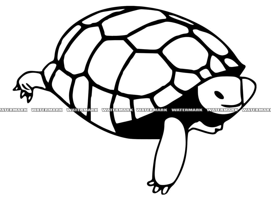 Turtle SVG Turtle Cut File Turtle DXF Turtle PNG Turtle - Etsy UK