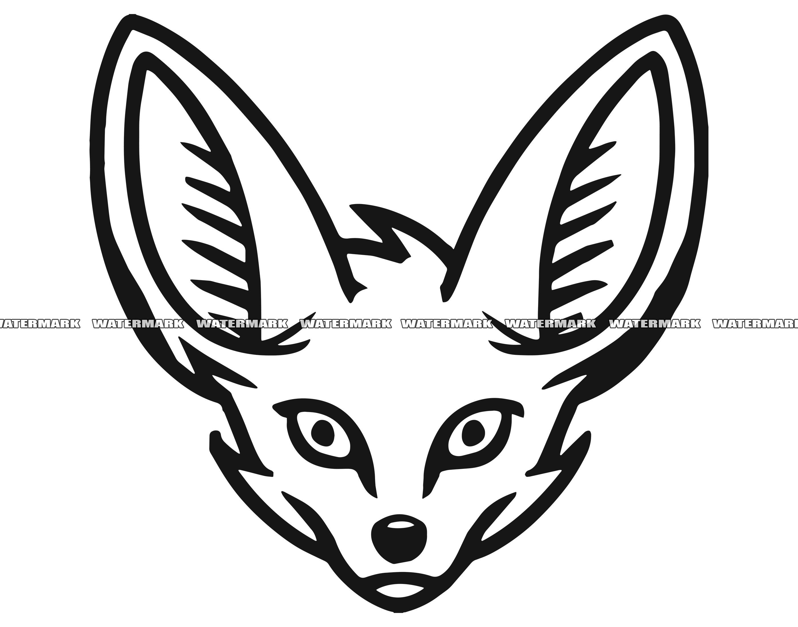 Desert Fennec Fox Drawing