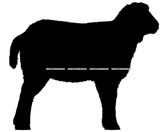 Sheep SVG 1 Sheep Cut File Sheep DXF Sheep PNG Sheep | Etsy