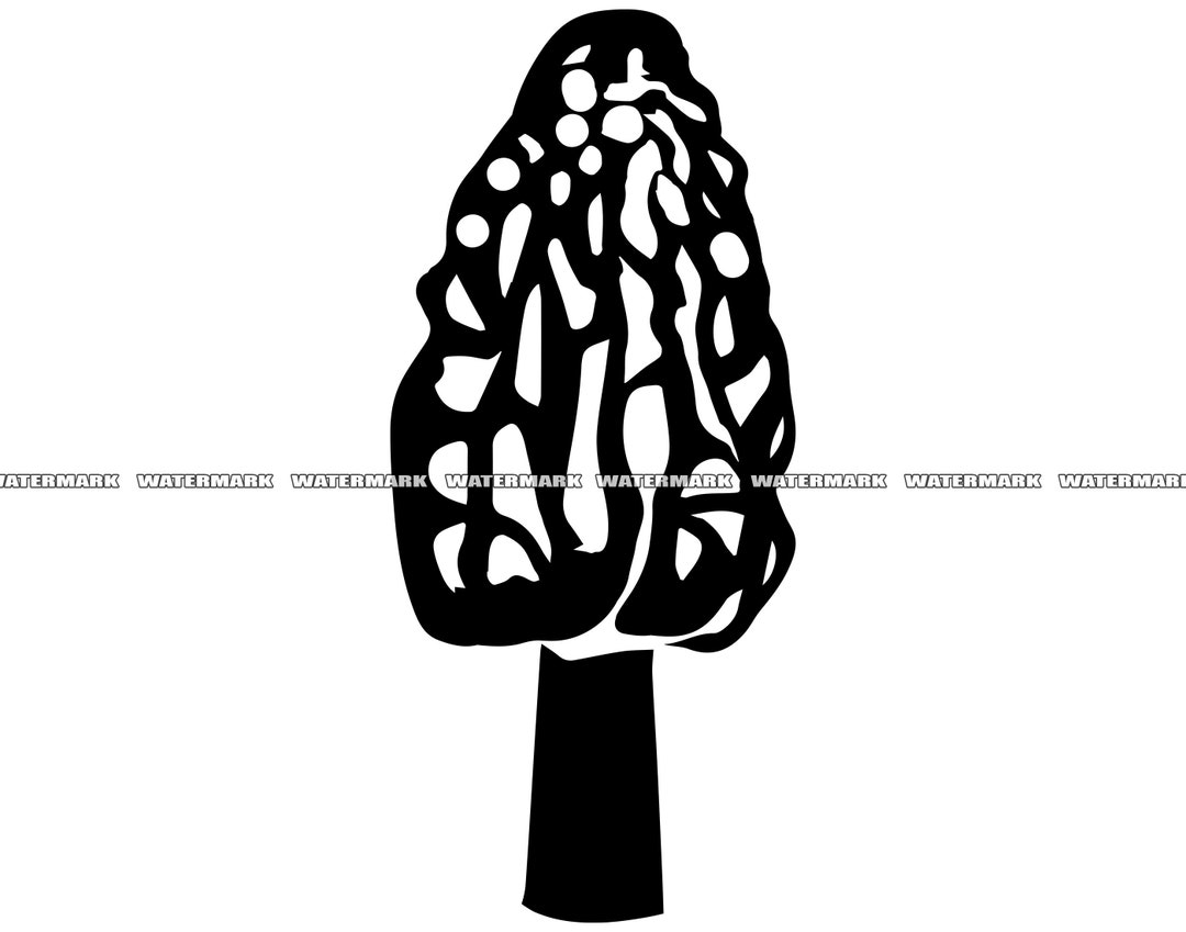 Morel Mushroom SVG #3 Wild Wildlife Herb Plant Forest Design Cartoon ...