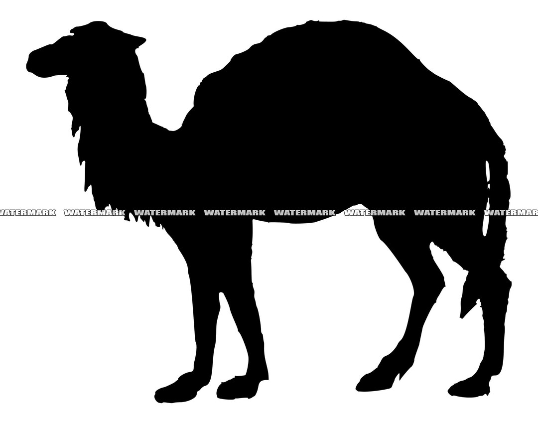 Camel SVG, Camel Cut File, Camel DXF, Camel PNG, Camel Clipart, Camel ...
