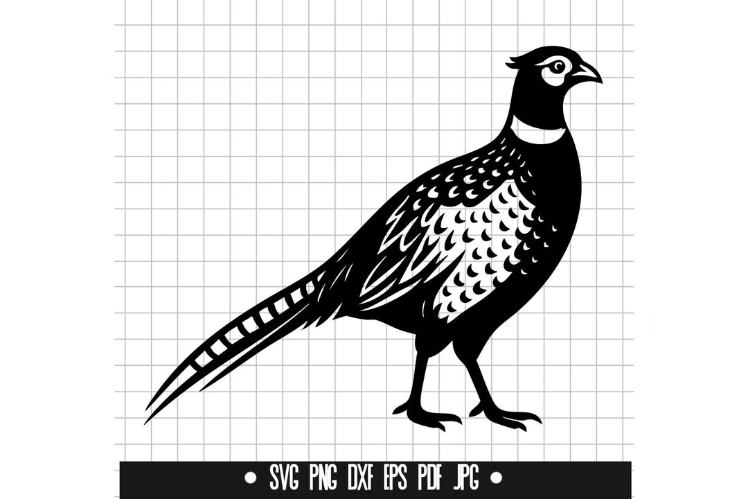Pheasant SVG, Pheasant DXF, Pheasant PNG, Bird Cut File, Clipart ...
