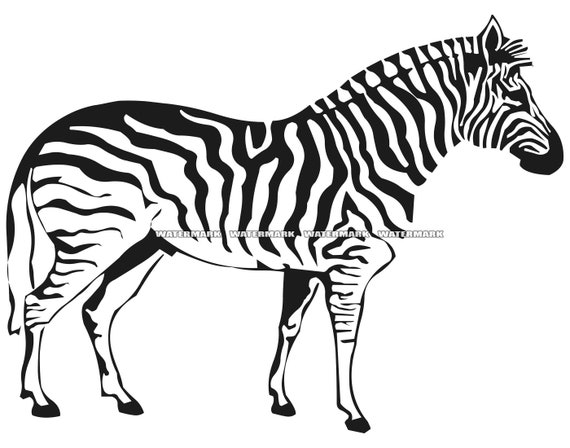 Zebra SVG Zebra Cut File Zebra DXF Zebra PNG Zebra - Etsy