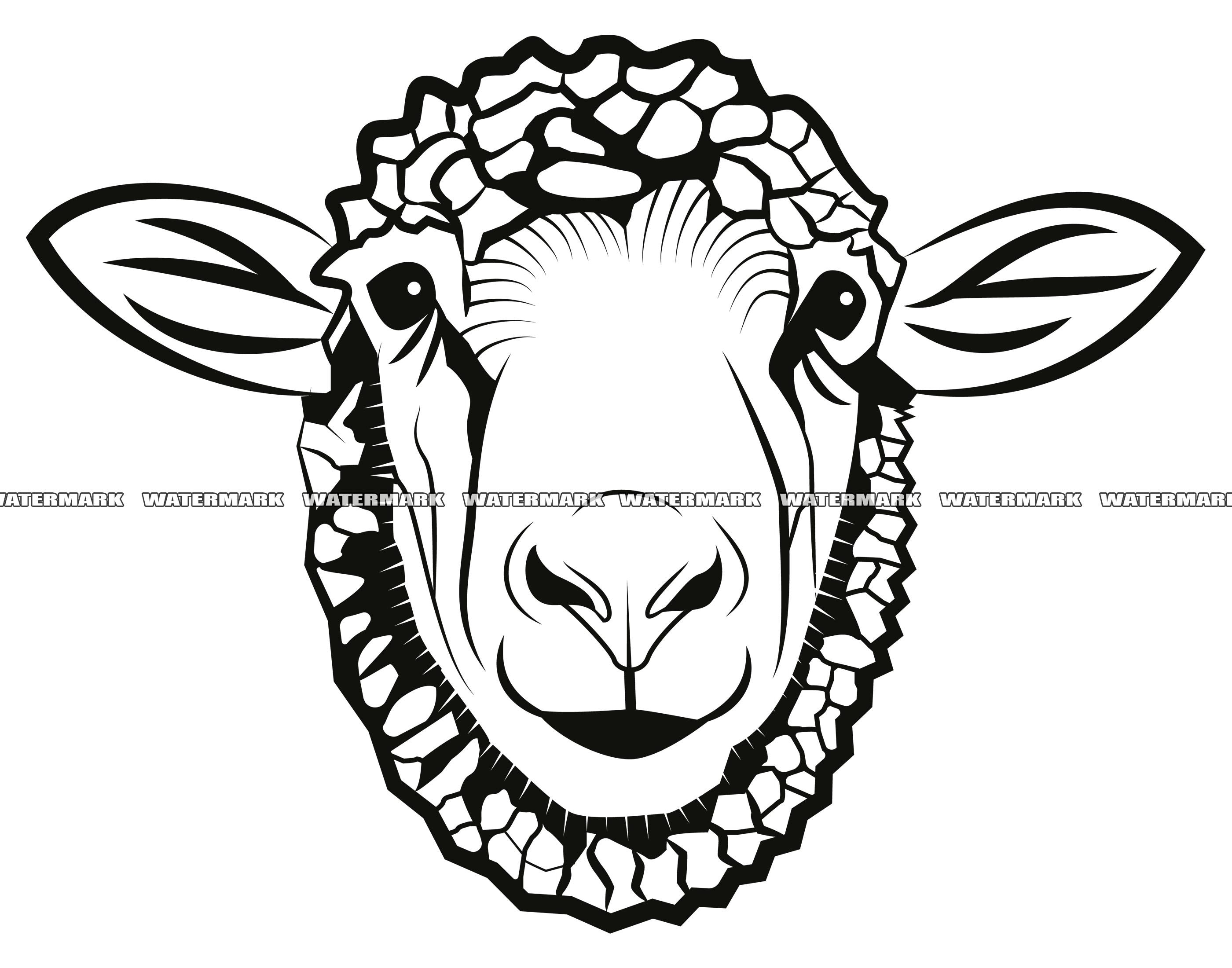 Sheep Head Sketch Sheep Head Sketch
