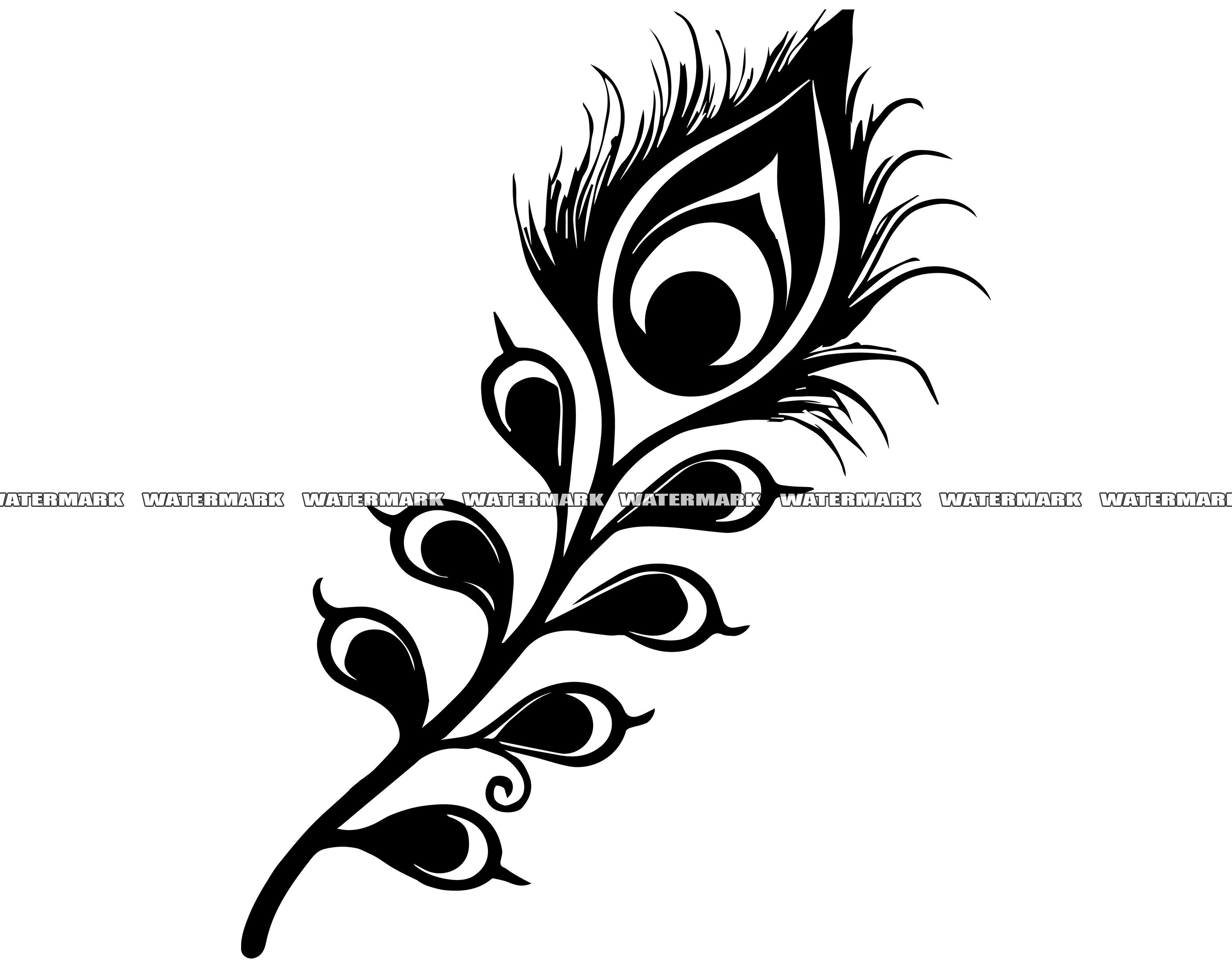 Peacock Feather SVG Peacock Feather Cut File Peacock Feather - Etsy UK