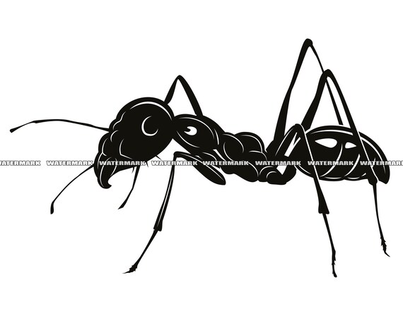 Ant SVG 1 Ants Svg Ant Cut File Ant DXF Ant PNG Ant - Etsy Australia