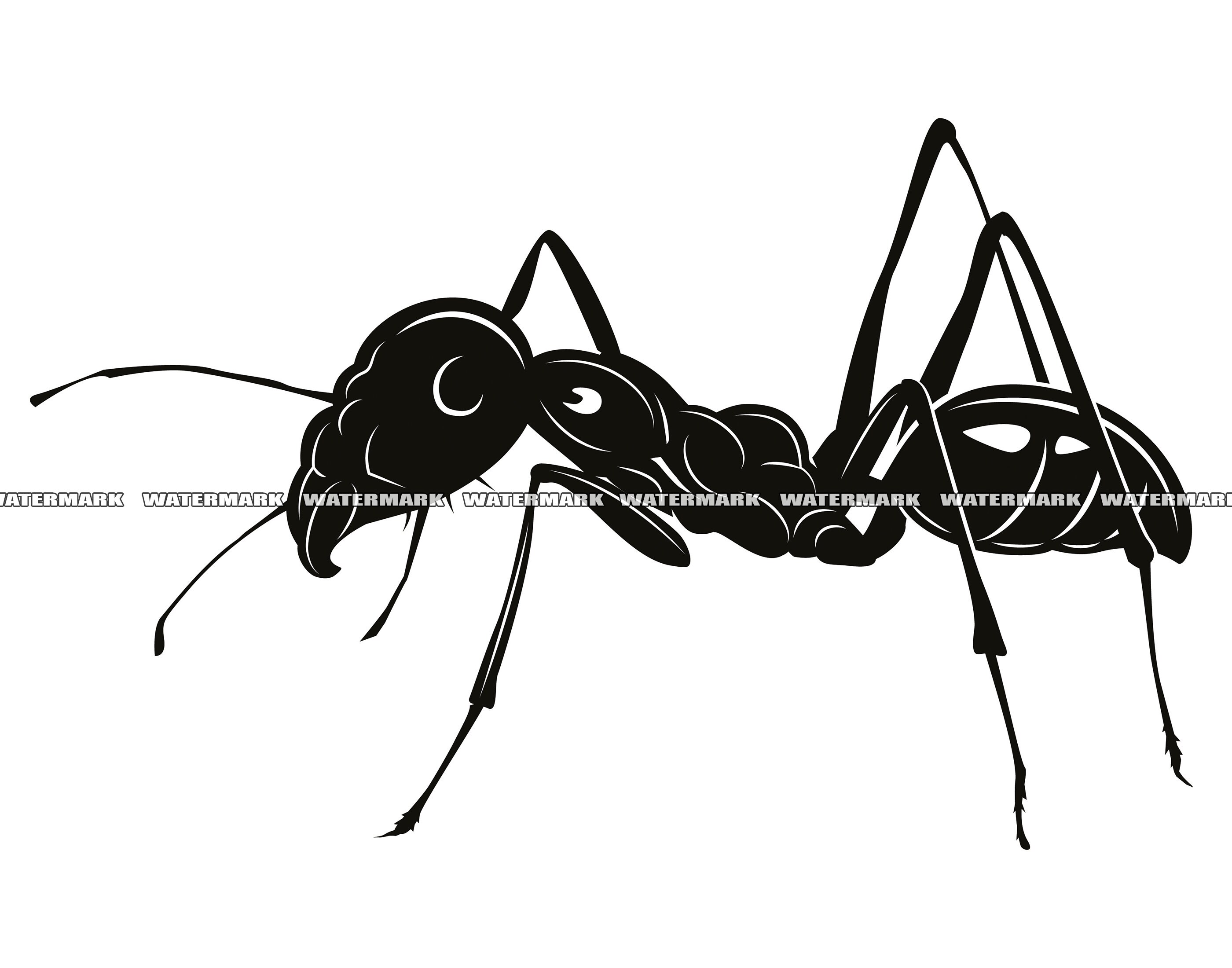 Ant SVG 1 Ants Svg Ant Cut File Ant DXF Ant PNG Ant - Etsy Australia