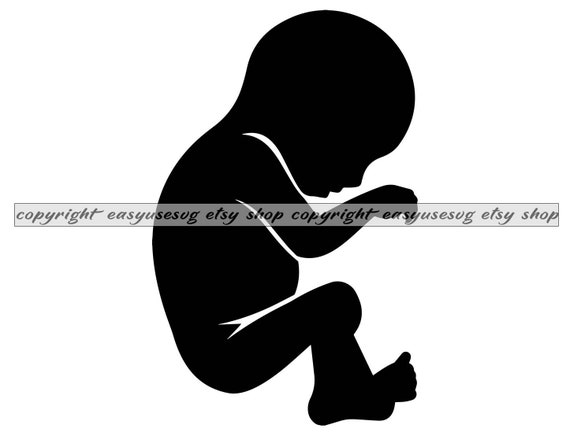 Embryo Silhouette