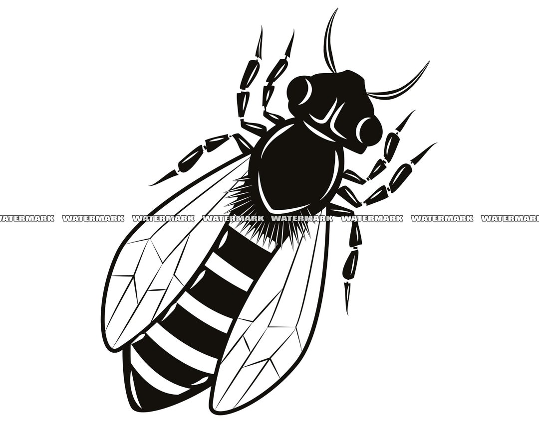Bee SVG Bee Cut File Bee DXF Bee PNG Bee Clipart Bee - Etsy