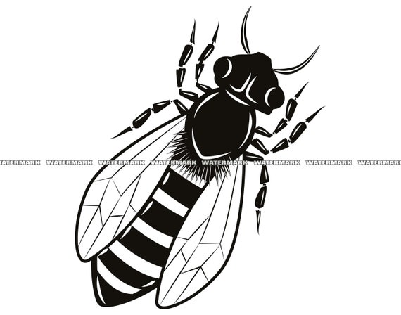 Bee SVG Bee Cut File Bee DXF Bee PNG Bee Clipart Bee - Etsy