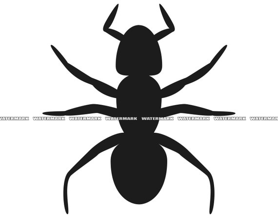 Ant SVG Ant Cut File Ant DXF Ant PNG Ant Clipart Ant - Etsy
