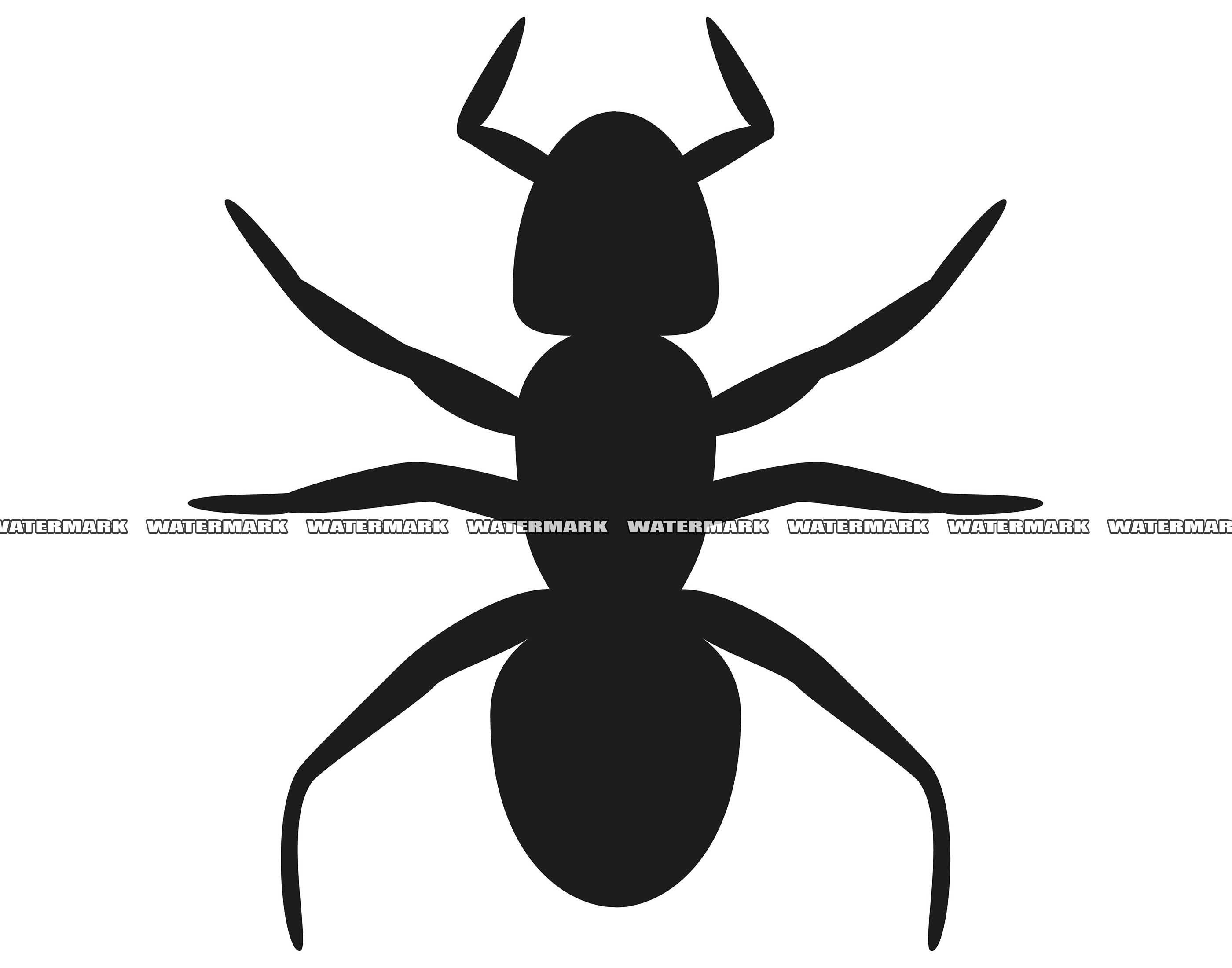Ant SVG Ant Cut File Ant DXF Ant PNG Ant Clipart Ant - Etsy Canada