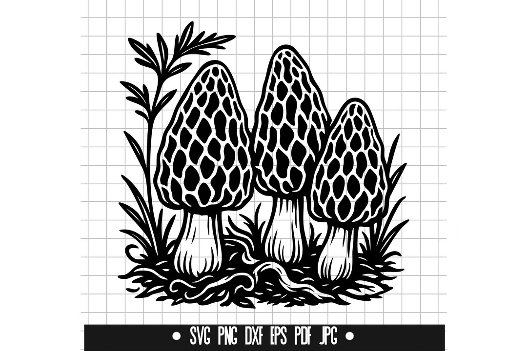 Morel Mushrooms SVG, Wild Mushrooms DXF, Forest Fungi PNG, Cut File ...