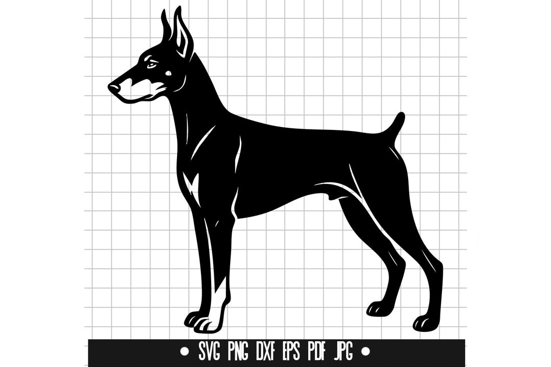 Doberman SVG, Doberman PNG, Doberman DXF, Doberman Silhouette, Doberman ...