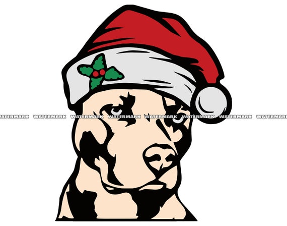 Pitbull With Santa Hat