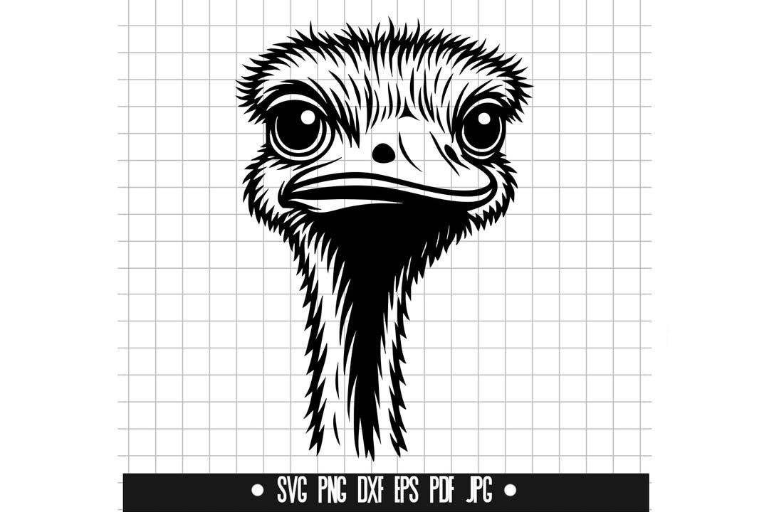 Ostrich Svg, Ostrich Head Svg, Big Bird Svg, Funny Bird Svg, Detailed ...