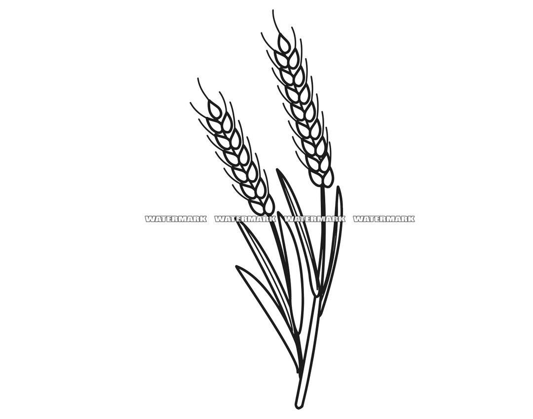 Wheat SVG, #1, Wheat Cut File, Wheat DXF, Wheat PNG, Wheat Clipart ...