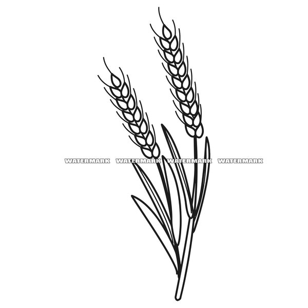 Wheat Svg - Etsy
