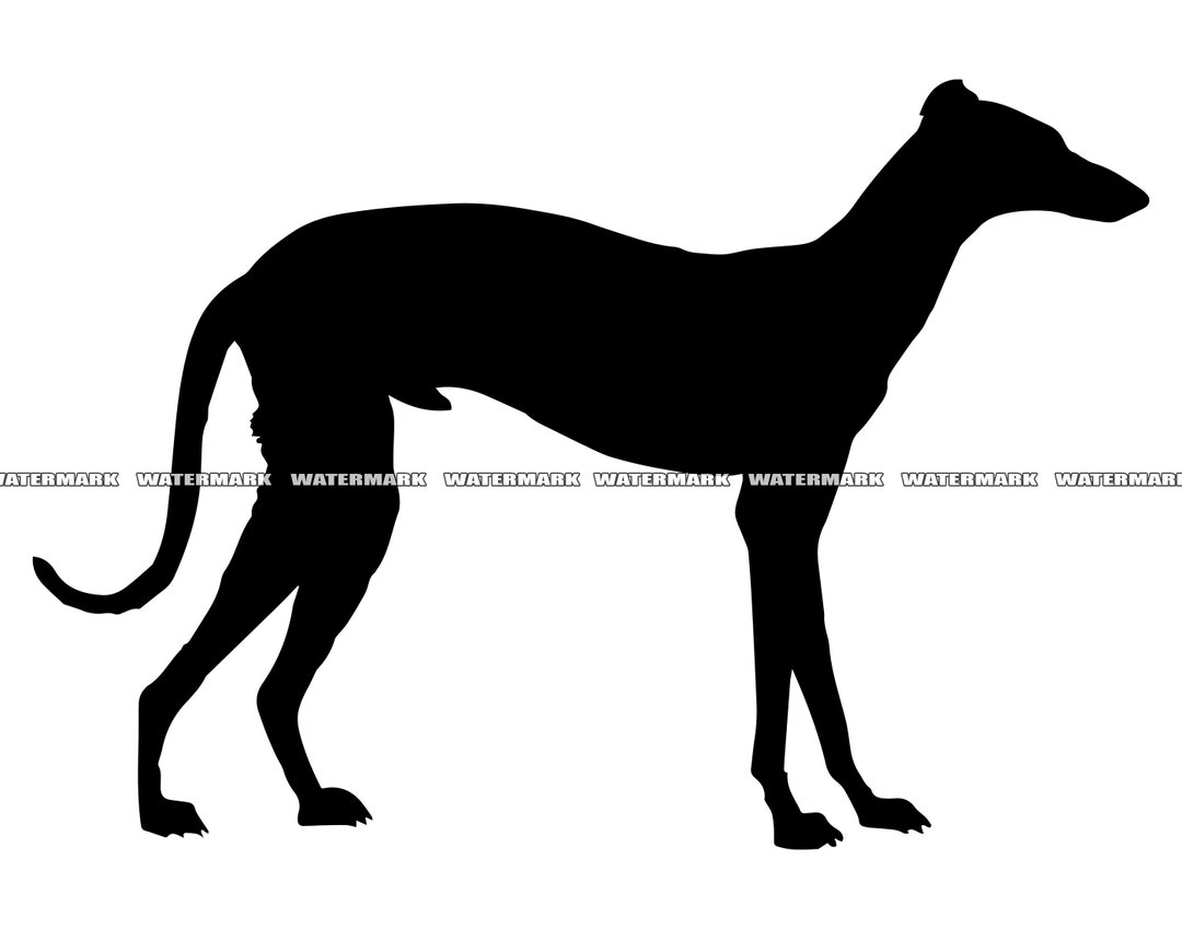 Greyhound Dog SVG Greyhound Dog Cut File Greyhound Dog DXF - Etsy
