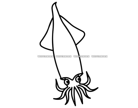 Cuttlefish Clipart Black And White