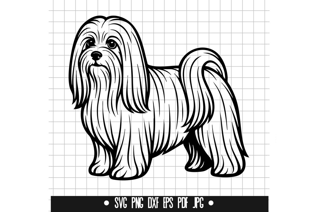Maltese SVG, Maltese PNG, Maltese DXF, Maltese Silhouette, Maltese Cut ...