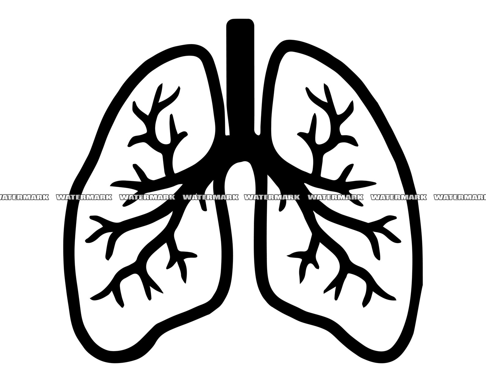 Lungs SVG, Lungs Cut File, Lungs DXF, Lungs PNG, Lungs Clipart, Lungs ...