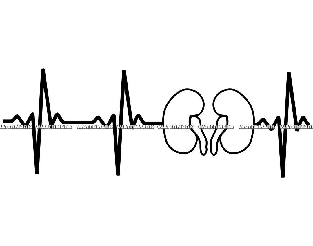 Heartbeat Ekg Kidney SVG #1 Organ Health Body Design Cut File DXF PNG ...