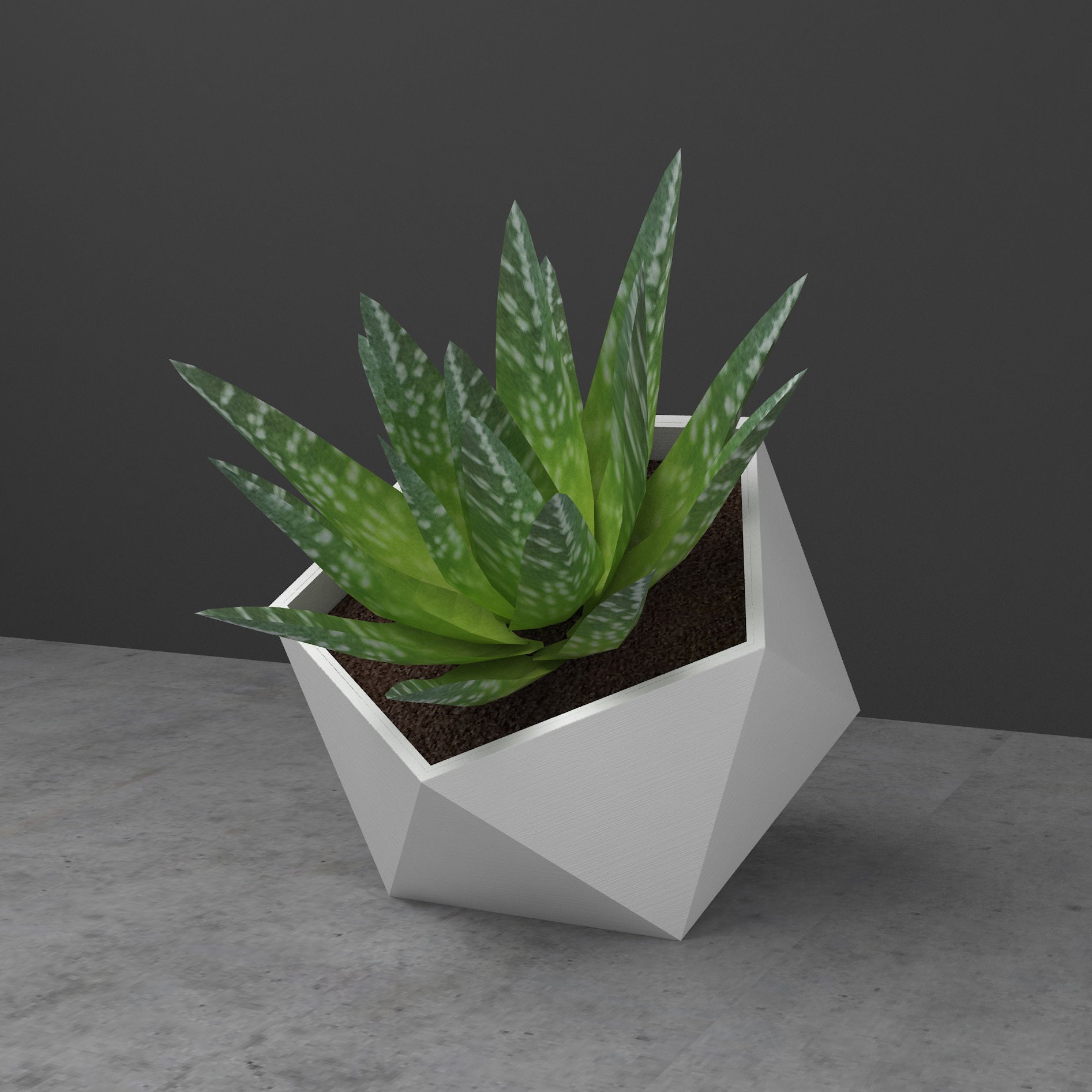 Geometric Planter Ideal for Succulents Cacti and Other Small | Etsy