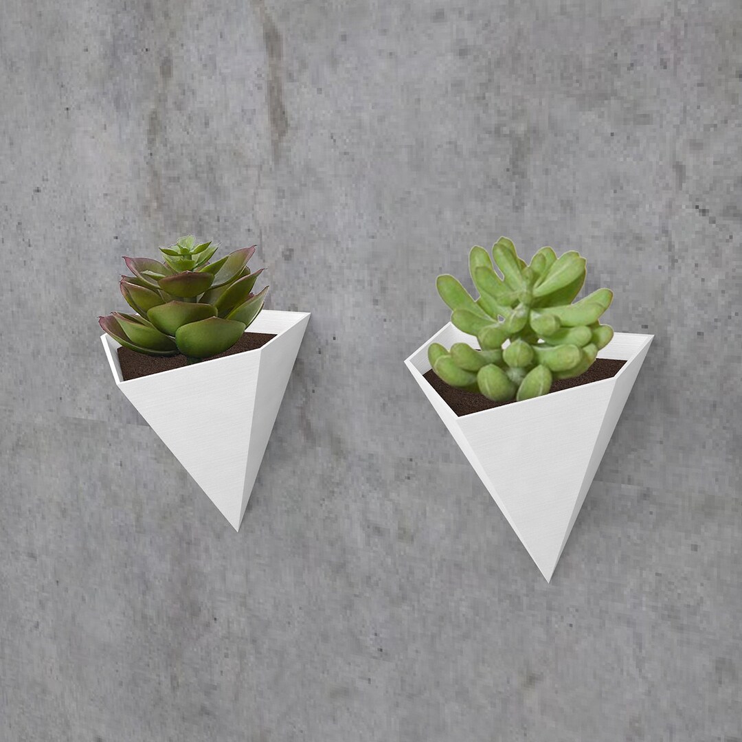 Short Triangular Wall Planter, Ideal for Succulents, and Other House ...